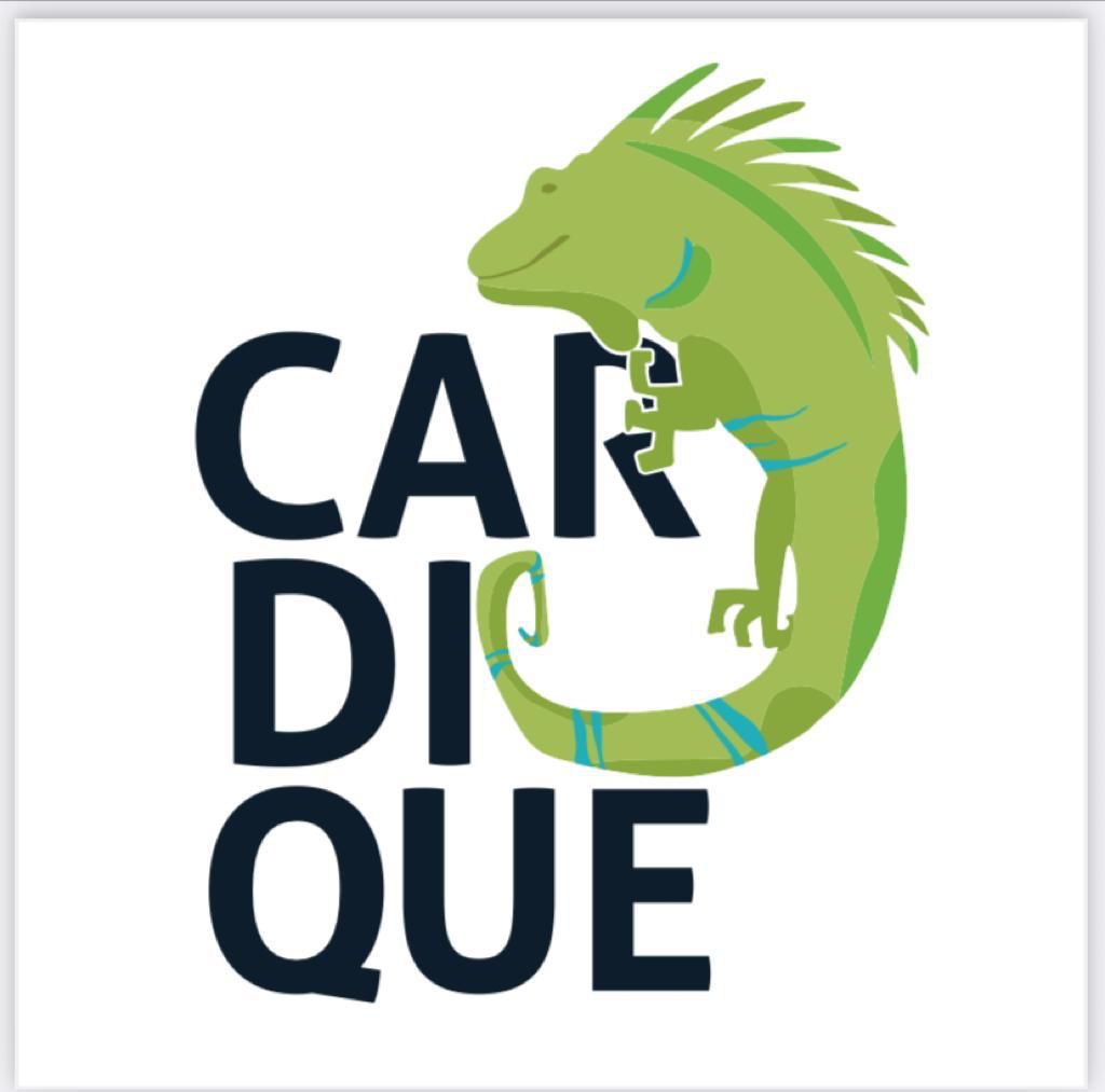 Cardique presenta nueva imagen e informa que invirtió $51.000 millones ...